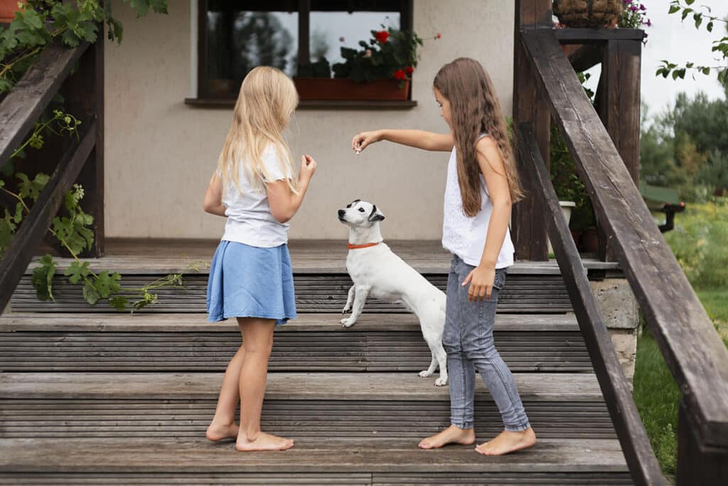 Expert Tips For Designing Pet And Kid-Friendly Decks